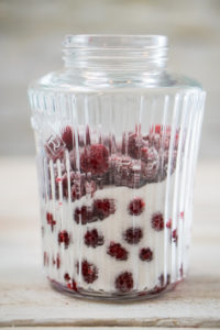 Homemade Raspberry Vodka Liqueur - Wet Whistle